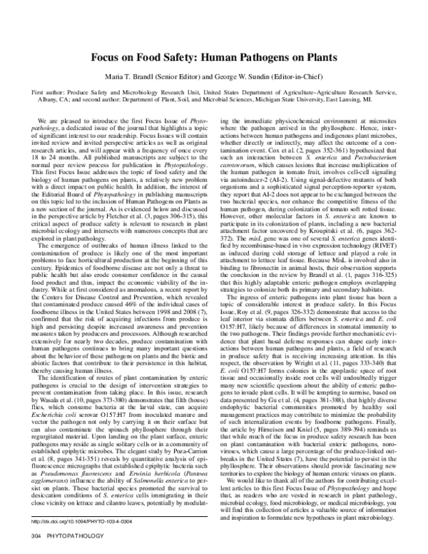(PDF) Focus on Food Safety: Human Pathogens on Plants