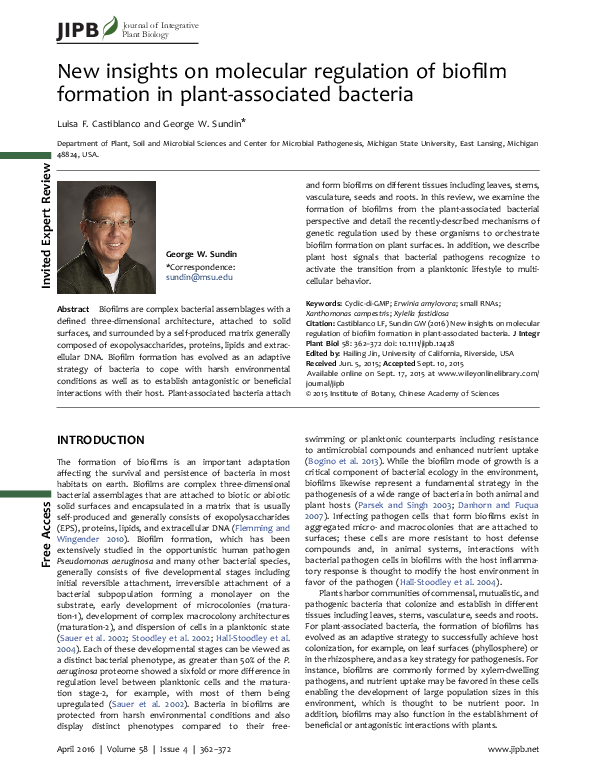 (PDF) New insights on molecular regulation of biofilm formation in ...