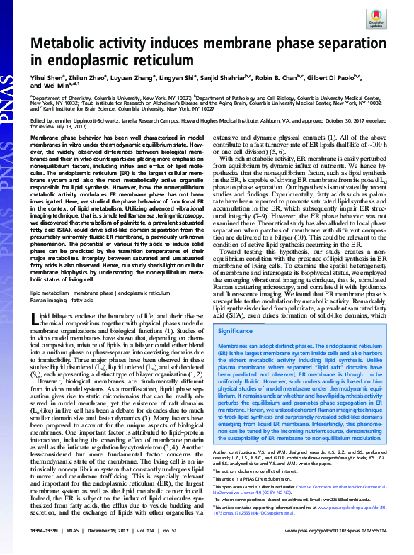 (PDF) Metabolic activity induces membrane phase separation in ...