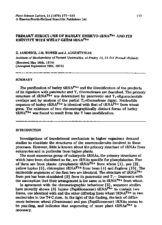 (PDF) Primary structure of barley embryo tRNAPhe and its identity with ...