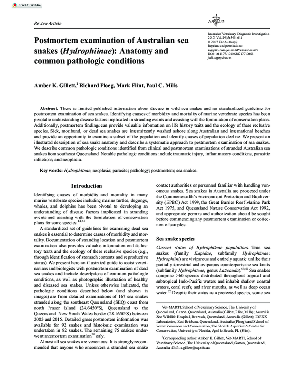 (PDF) Postmortem examination of Australian sea snakes ( Hydrophiinae ...