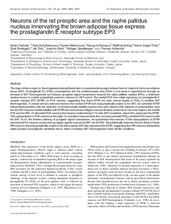 (PDF) Neurons of the rat preoptic area and the raphe pallidus nucleus ...