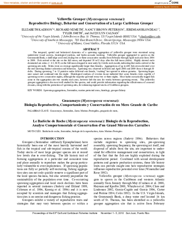 (PDF) Yellowfin Grouper (Mycteroperca venenosa): Reproductive Biology ...