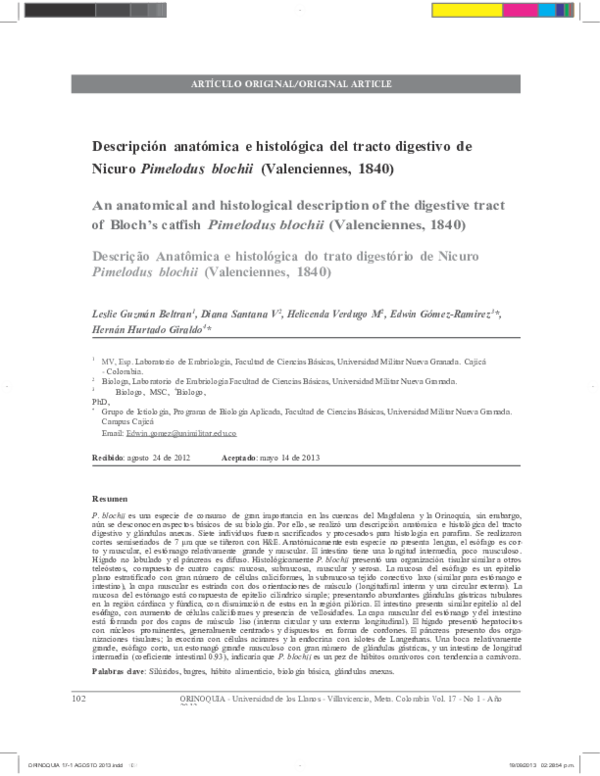 (DOC) Descripción anatómica e histológica del tracto digestivo de ...