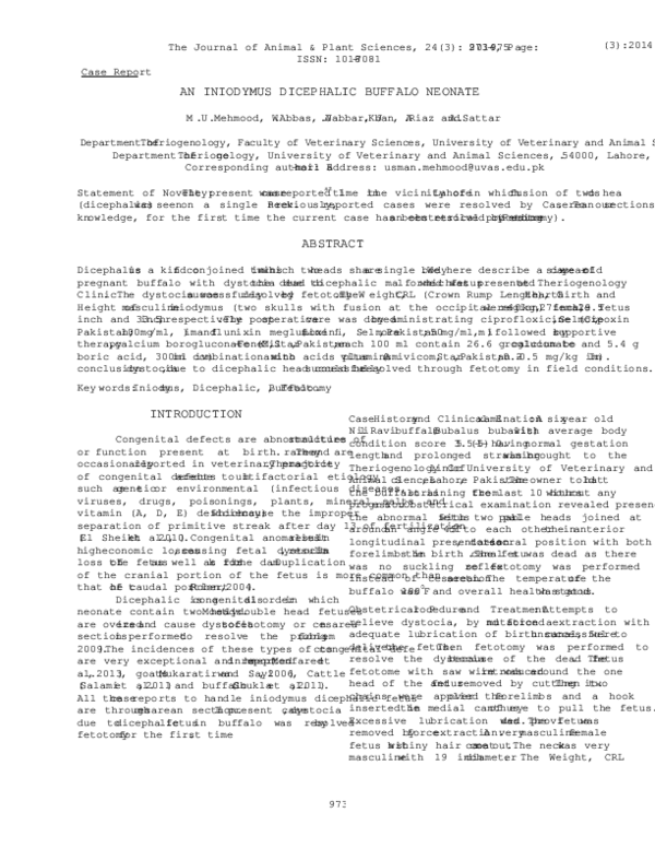 (PDF) An Iniodymus Dicephalic Buffalo Neonate