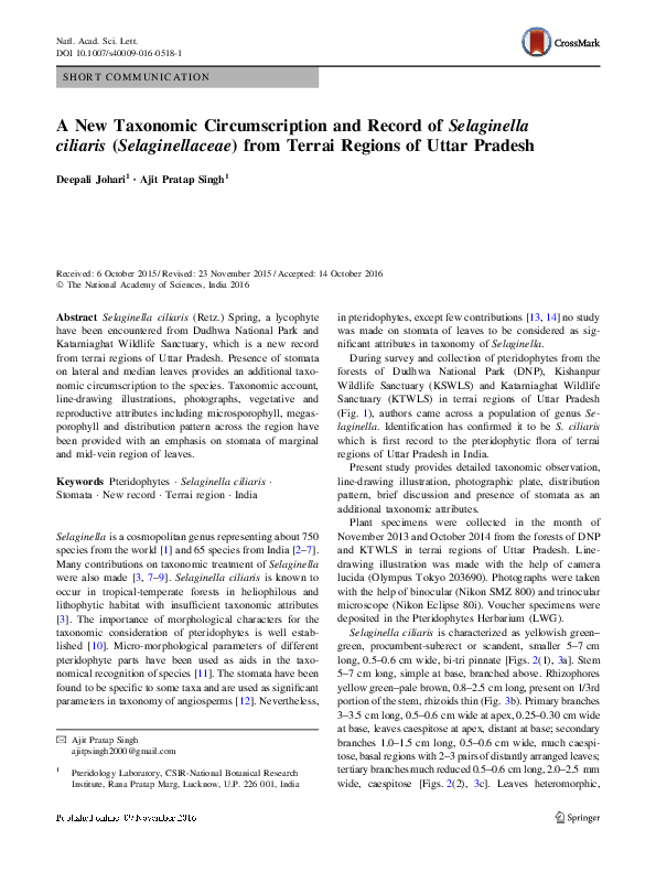 (PDF) A New Taxonomic Circumscription and Record of Selaginella ...