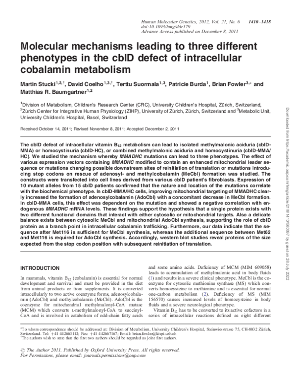 (PDF) Molecular mechanisms leading to three different phenotypes in the cblD defect of ...