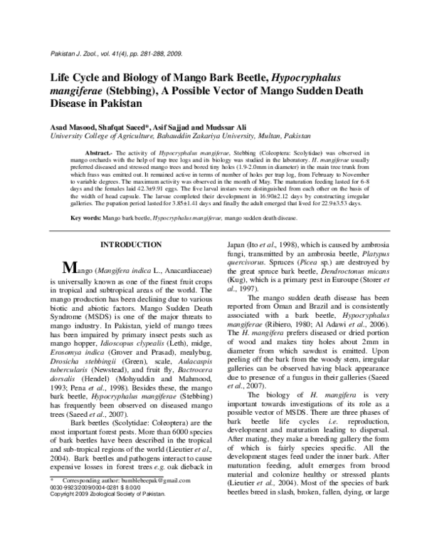 (PDF) Life cycle and biology of mango bark beetle, Hypocryphalus ...