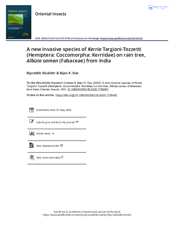 (PDF) A new invasive species of Kerria Targioni-Tozzetti (Hemiptera ...