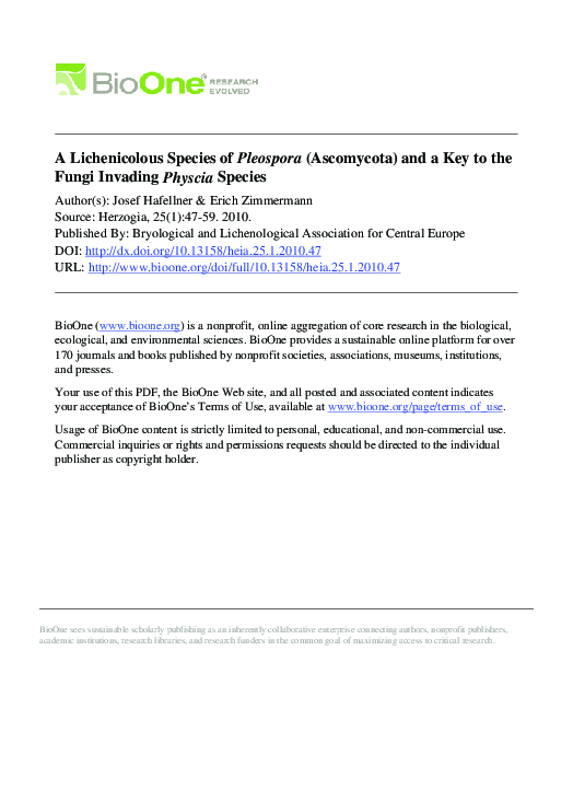 (PDF) A Lichenicolous Species of Pleospora (Ascomycota) and a Key to ...