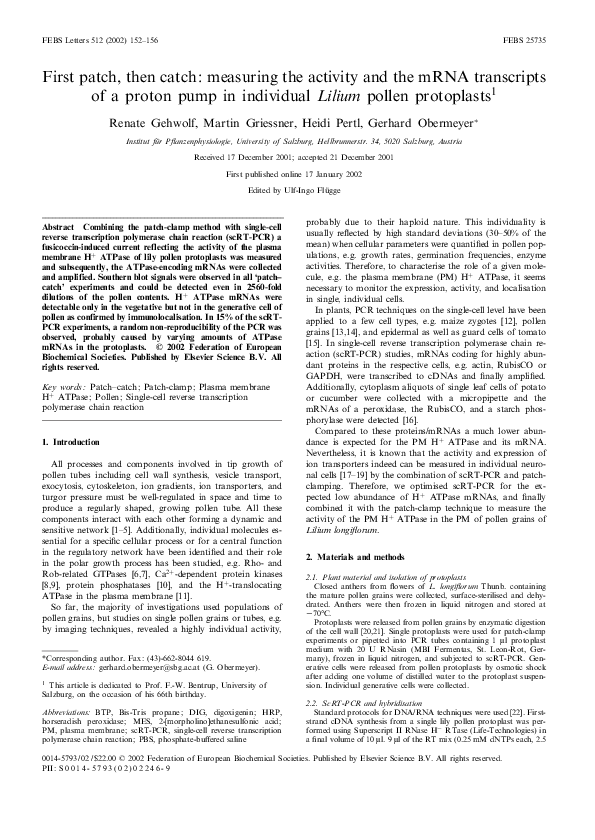 (PDF) First patch, then catch: measuring the activity and the mRNA transcripts of a proton pump ...