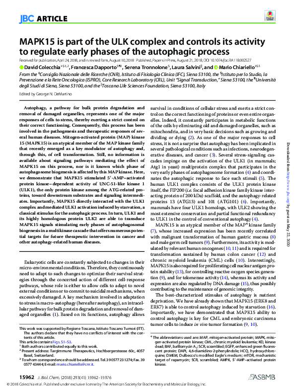 (PDF) MAPK15 is part of the ULK complex and controls its activity to ...