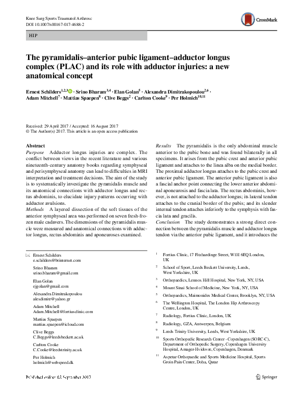 (PDF) The pyramidalis–anterior pubic ligament–adductor longus complex ...