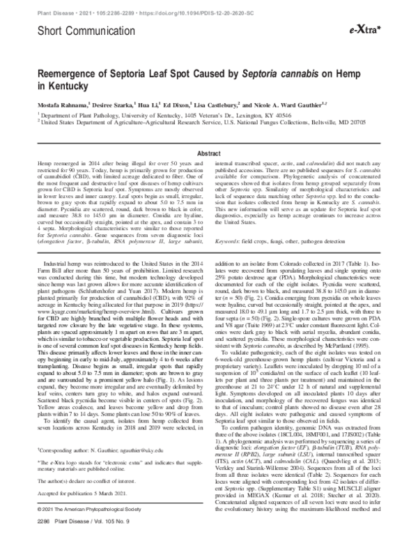 (PDF) Reemergence of Septoria Leaf Spot Caused by Septoria cannabis on ...