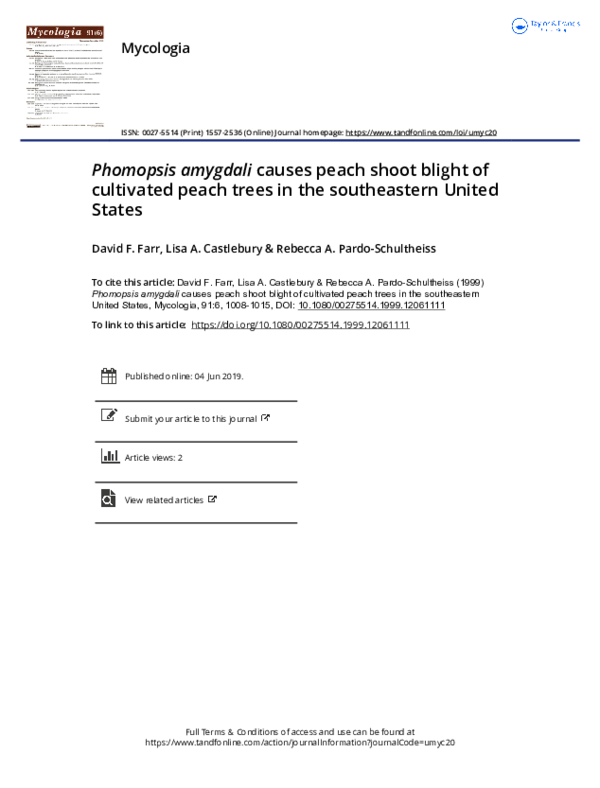 (PDF) Phomopsis amygdali Causes Peach Shoot Blight of Cultivated Peach ...
