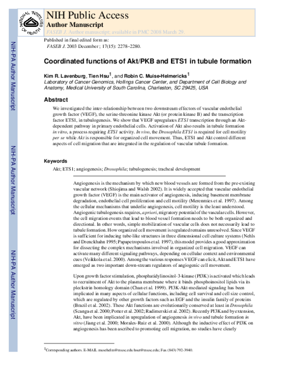 (PDF) Coordinated functions of Akt/PKB and ETS1 in tubule formation