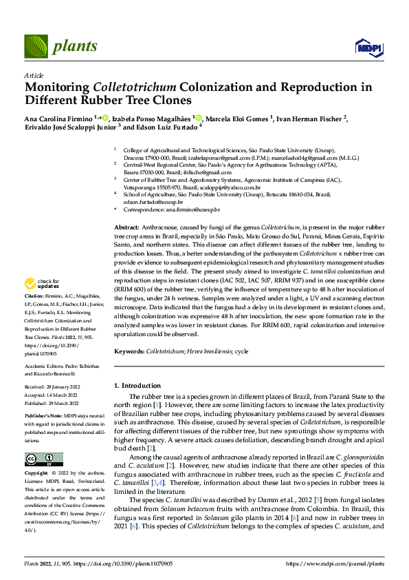 (PDF) Monitoring Colletotrichum Colonization and Reproduction in ...