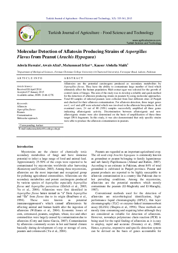 (PDF) Molecular Detection of Aflatoxin Producing Strains of Aspergillus Flavus from Peanut ...