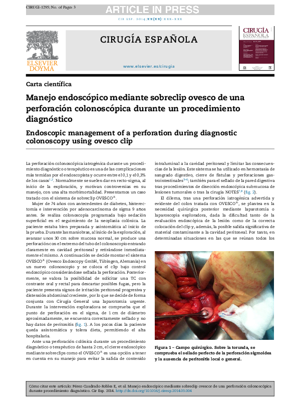 (PDF) Manejo endoscópico mediante sobreclip ovesco de una perforación ...