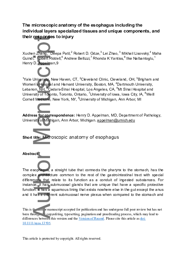 (PDF) The microscopic anatomy of the esophagus including the individual ...