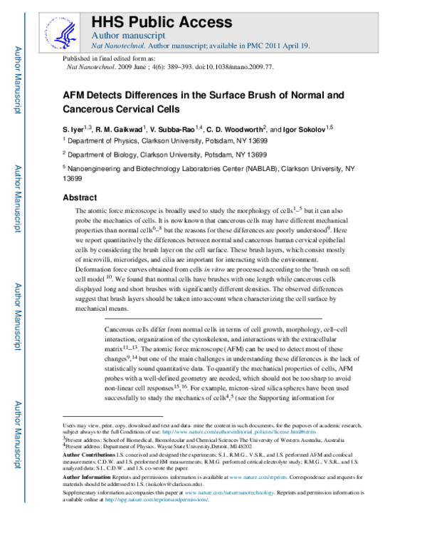 (PDF) Atomic force microscopy detects differences in the surface brush ...