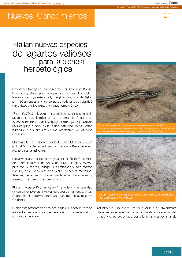 (PDF) Hallan nuevas especies de lagartos valiosos para la ciencia ...