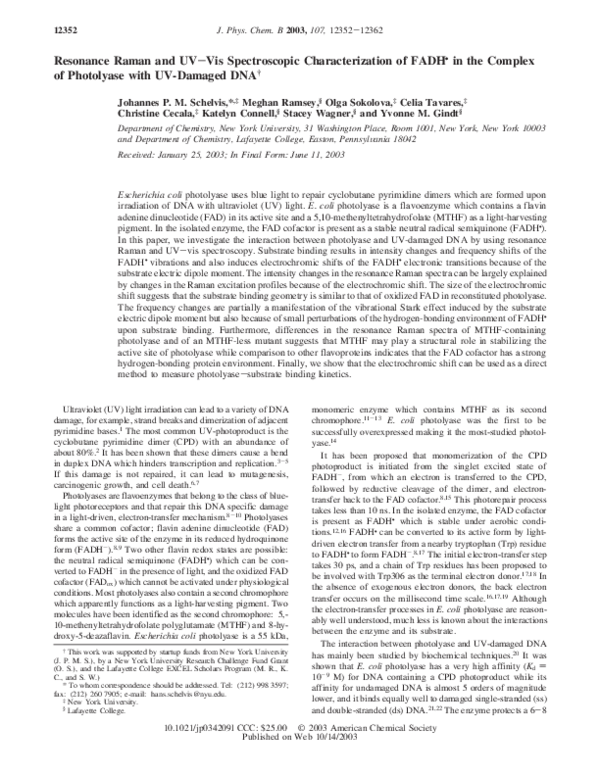 (PDF) Resonance Raman and UV−Vis Spectroscopic Characterization of FADH • in the Complex of ...