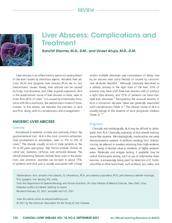 (PDF) Liver Abscess: Complications and Treatment