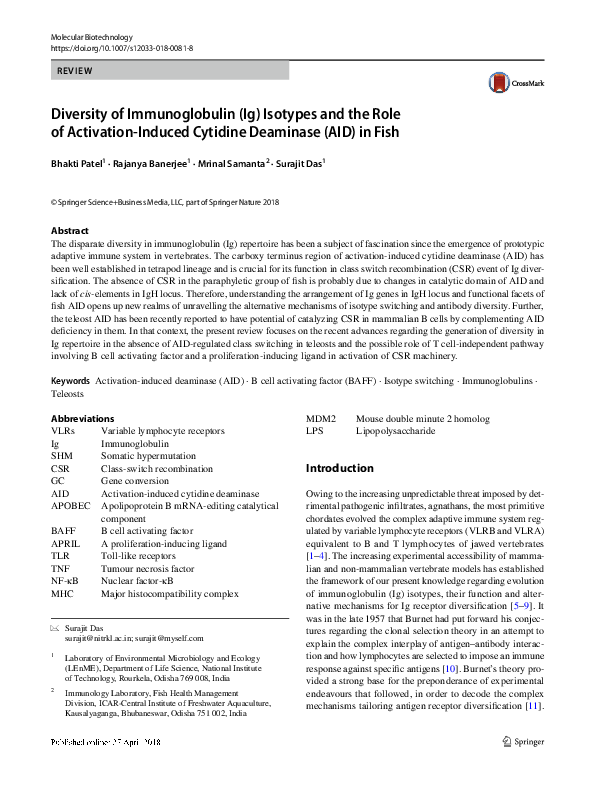 (PDF) Diversity of Immunoglobulin (Ig) Isotypes and the Role of ...