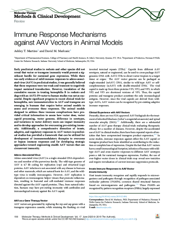 (PDF) Immune Response Mechanisms against AAV Vectors in Animal Models
