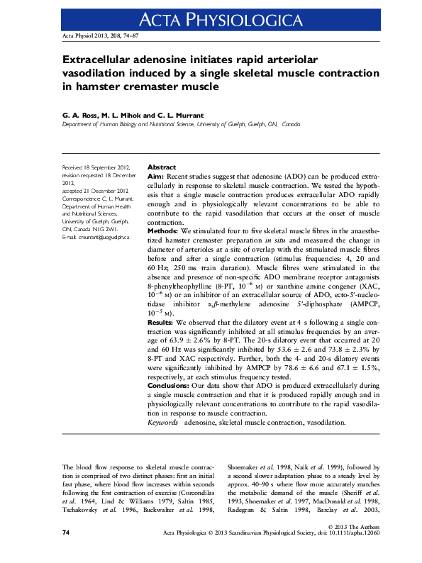 (PDF) Extracellular adenosine initiates rapid arteriolar vasodilation ...