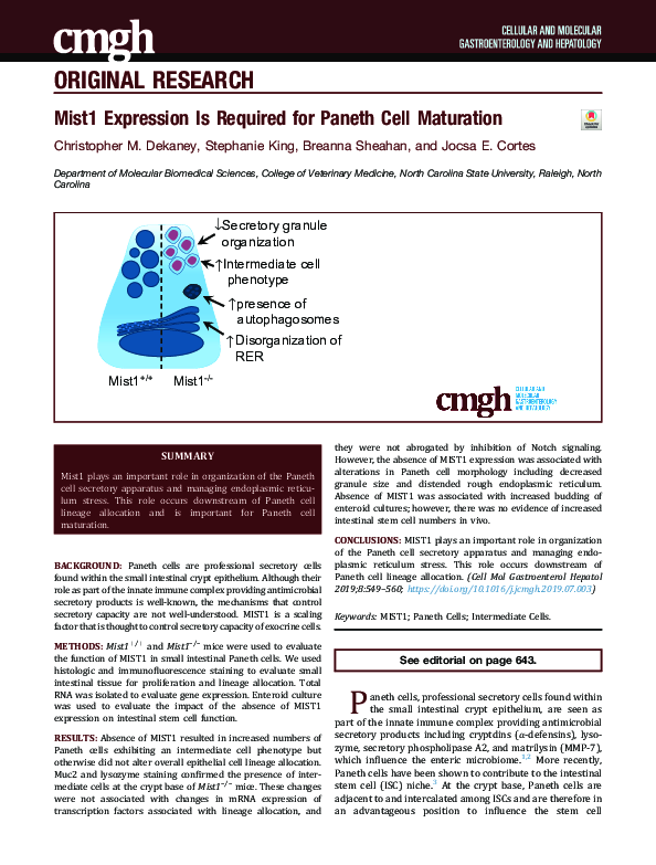 (PDF) Mist1 Expression Is Required for Paneth Cell Maturation