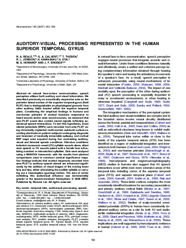 (PDF) Auditory-visual processing represented in the human superior temporal gyrus
