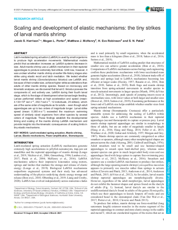 (PDF) Scaling and development of elastic mechanisms: the tiny strikes ...