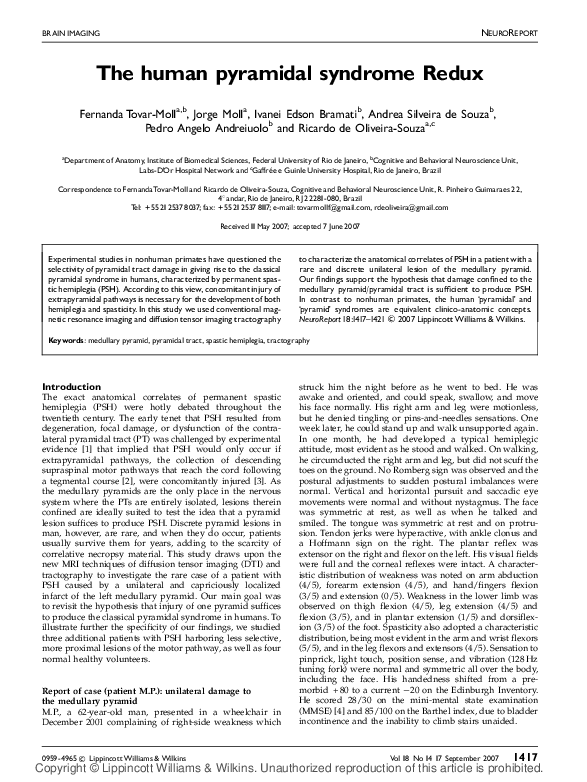 (PDF) The human pyramidal syndrome Redux | Fernanda Mola - Academia.edu