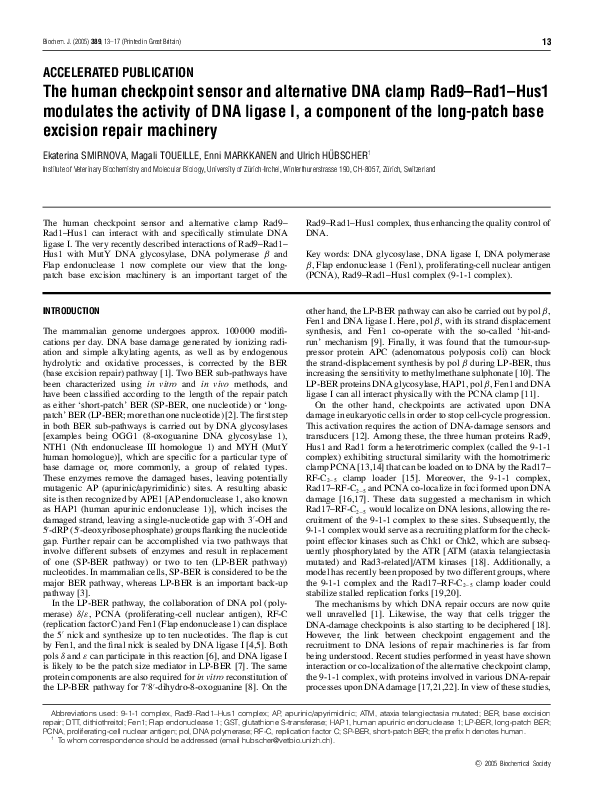 (PDF) The human checkpoint sensor and alternative DNA clamp Rad9–Rad1 ...