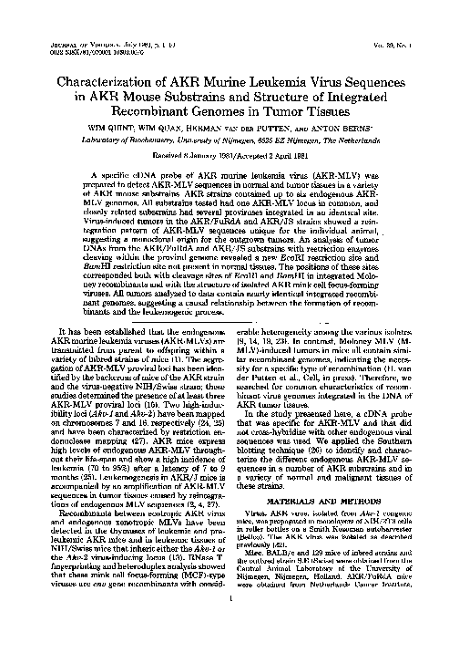 (PDF) Characterization of AKR murine leukemia virus sequences in AKR ...