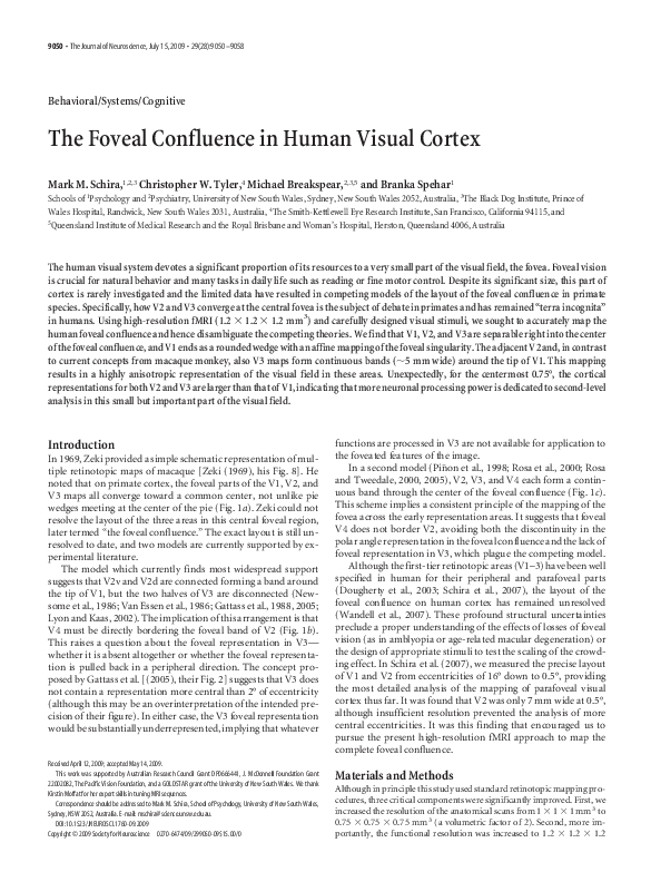 (PDF) The Foveal Confluence in Human Visual Cortex