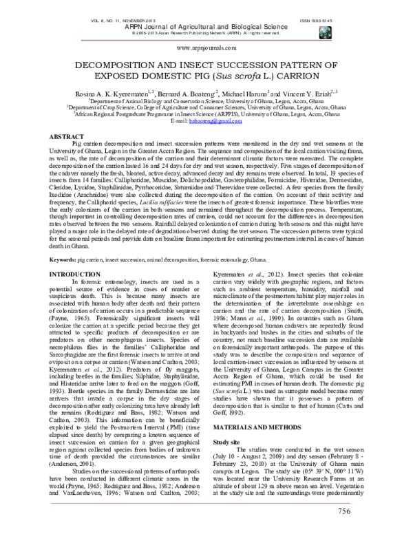 (PDF) Decomposition and insect succession pattern of exposed domestic ...