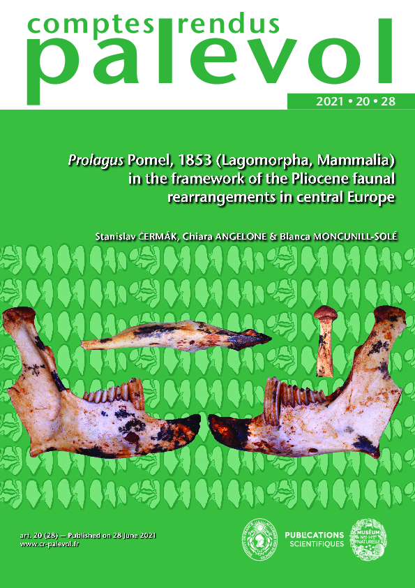 (PDF) Prolagus Pomel, 1853 (Lagomorpha, Mammalia) in the framework of ...