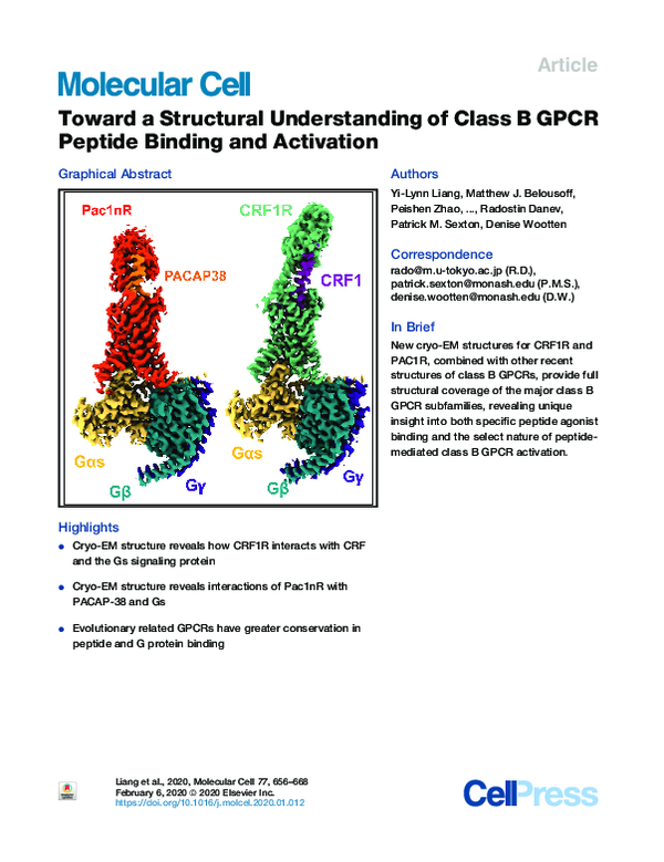 (PDF) Toward a Structural Understanding of Class B GPCR Peptide Binding ...
