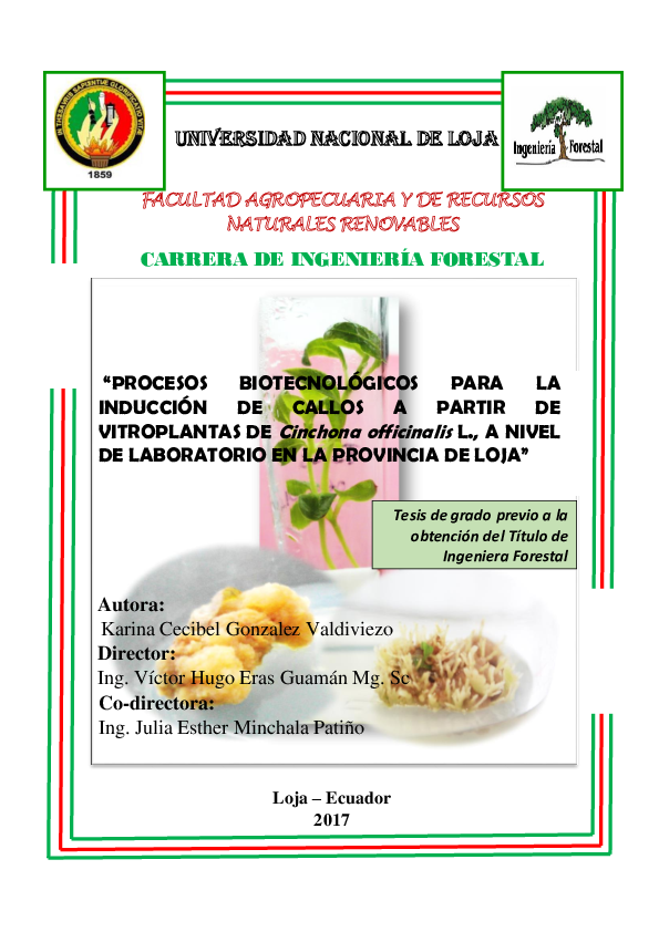 (PDF) PROCESOS BIOTECNOLÓGICOS PARA LA INDUCCIÓN DE CALLOS A PARTIR DE ...