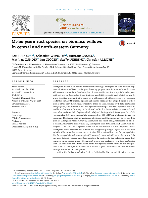 (PDF) Melampsora rust species on biomass willows in central and north ...