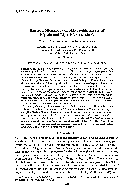 (PDF) Electron microscopy of side-by-side arrays of myosin and light ...