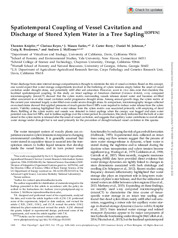 (PDF) Spatiotemporal Coupling of Vessel Cavitation and Discharge of ...