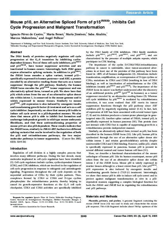 (PDF) Mouse p10, an alternative spliced form of p15INK4b, inhibits cell ...