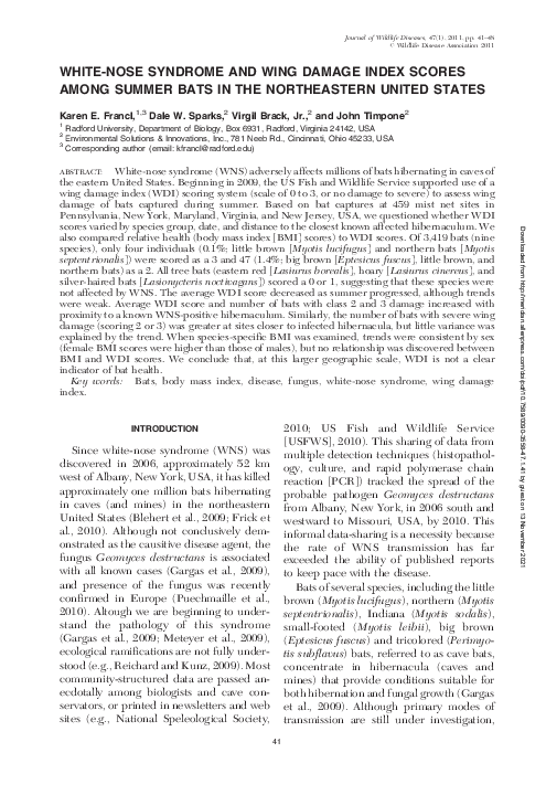 (PDF) White-Nose Syndrome and Wing Damage Index Scores Among Summer ...