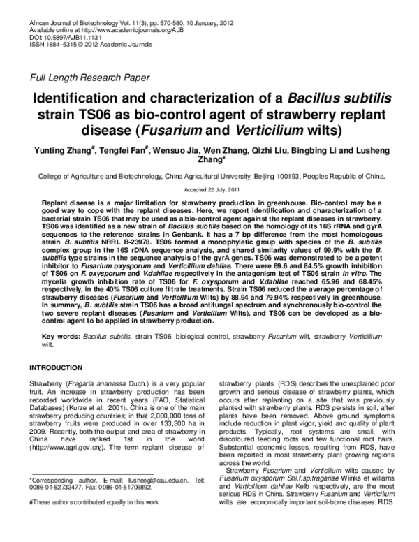 Pdf Identification And Characterization Of A Bacillus Subtilis Strain