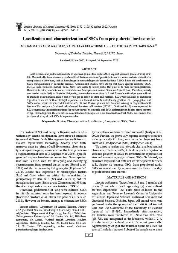 (PDF) Localization and characterization of SSCs from pre-pubertal ...