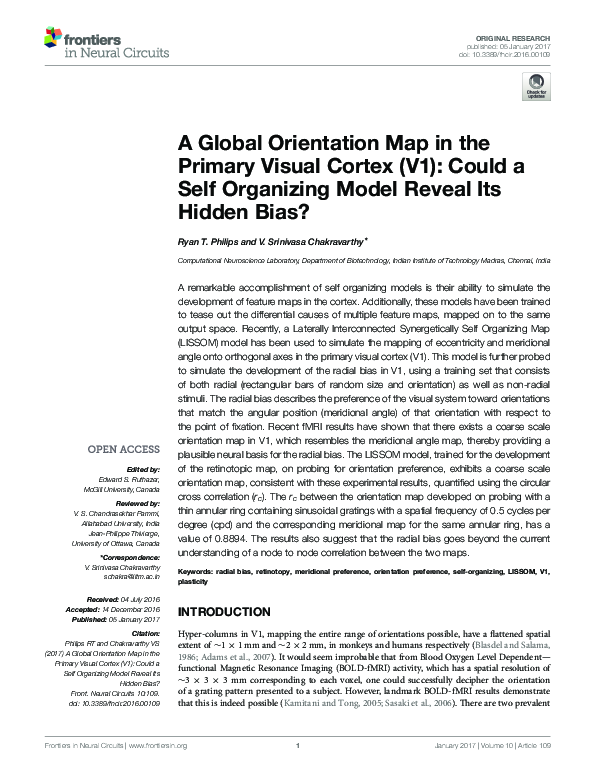 (PDF) A Global Orientation Map in the Primary Visual Cortex (V1): Could a Self Organizing Model ...
